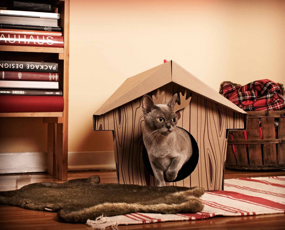 Canadian Cat Cabin | mpgmb